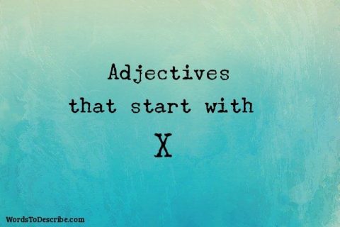 17 Adjectives That Start With X | Words To Describe
