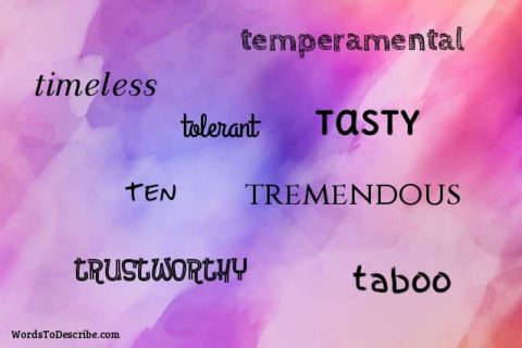 227 Adjectives That Start With T | Words To Describe