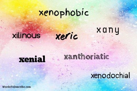 17 Adjectives That Start With X | Words To Describe
