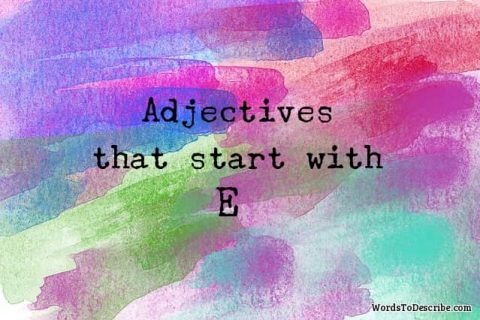 219 Adjectives That Start With E | Words To Describe