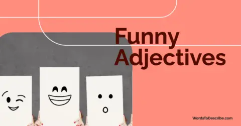 Adjectives That Are Funny | Silly Adjectives to Describe Someone Or ...